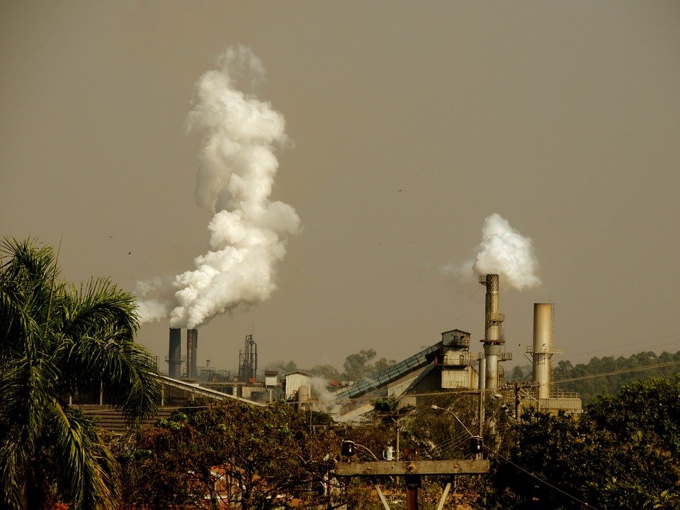 The Better Earth | Together for Earth's Future